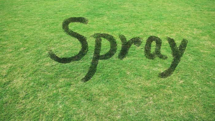 ¿La pintura en aerosol matará a la hierba? (Todo lo que necesitas saber) - Spray Super Fácil